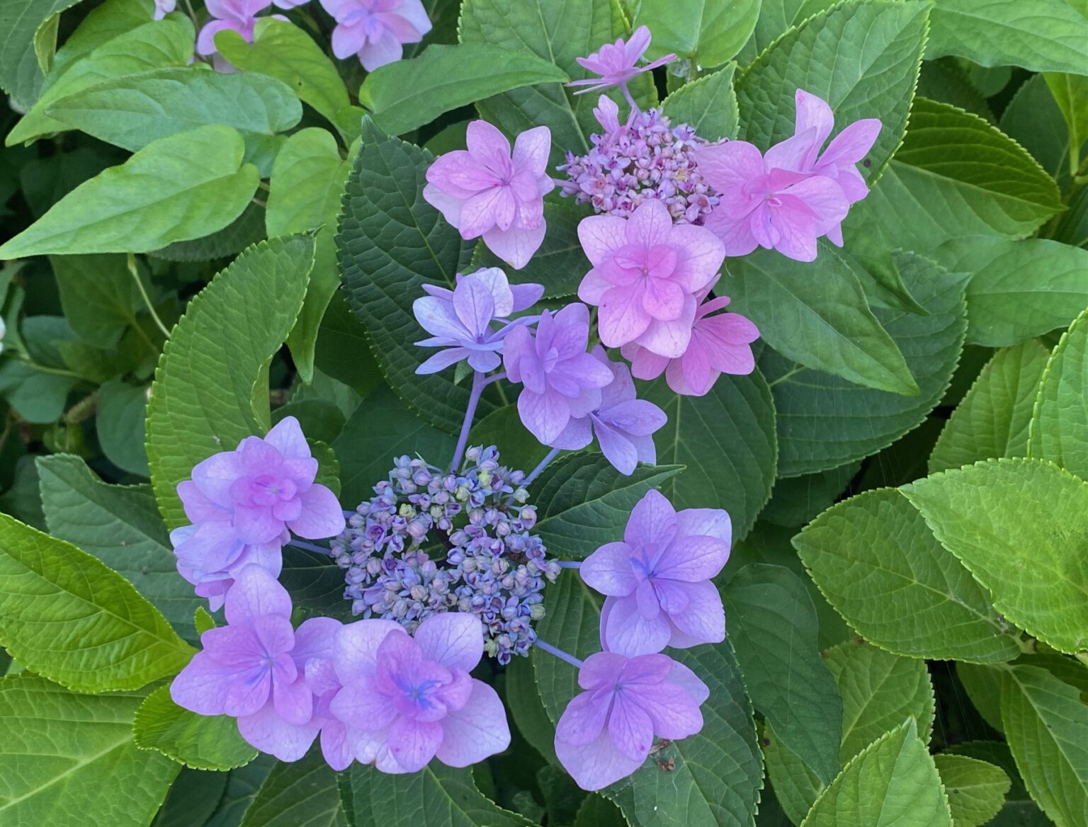 放送後記・FMクマガヤ「マネーの扉～2030年へsprout!～」150回記念放送 | 株式会社スプラウト | 資産運用・老後資金・FP | 細田浩世 | 埼玉・熊谷