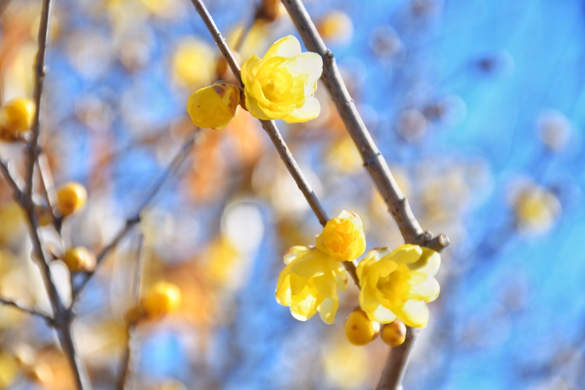 2026年 FMクマガヤ「マネーの扉～2030年へsprout!～」ゲストを迎えて第1回放送 | 株式会社スプラウト | 資産運用・老後資金 ...